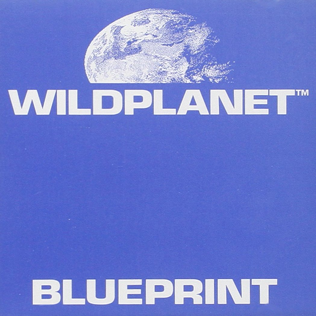 Amazon.com: Blueprint: CDs & Vinyl