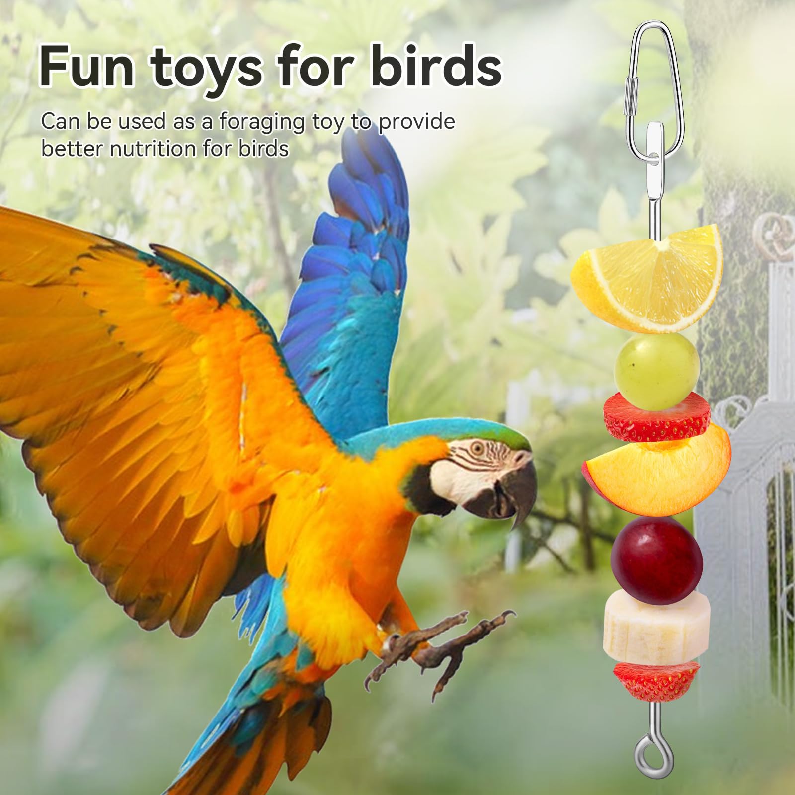 Snapklik.com : Bird Skewer For Fruit, 5 Pcs Stainless Steel Vegetable ...