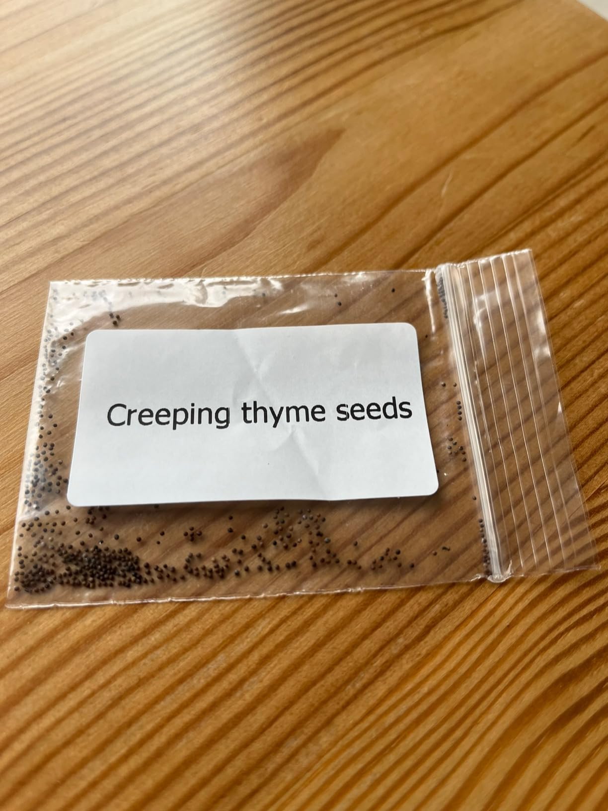 200 Creeping Thyme Seeds Flower Seeds Rock Cress Ground Cover Seeds ...