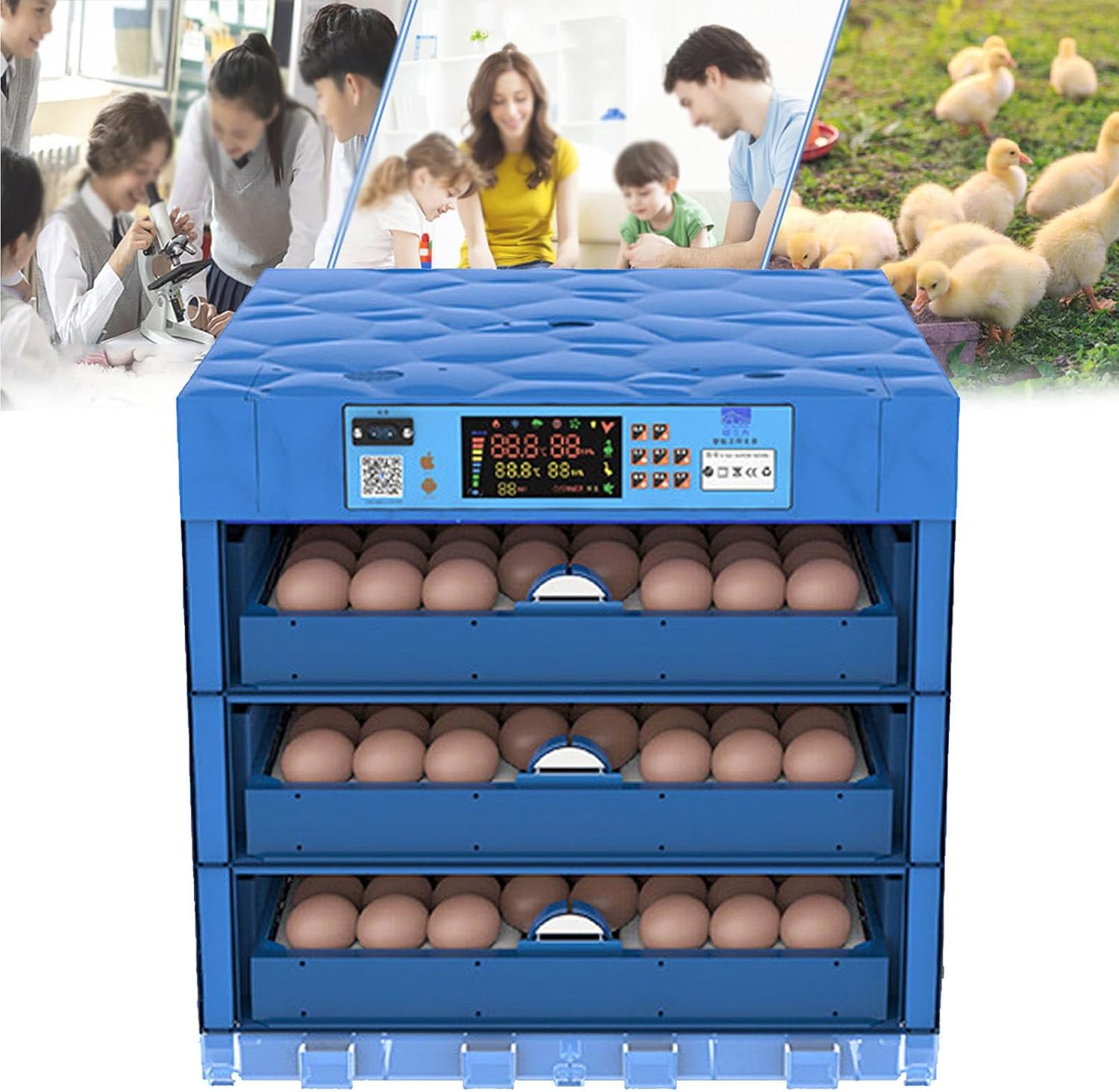 Amazon.com: Egg Incubator, Commercial Egg Incubator for Hatching Eggs ...
