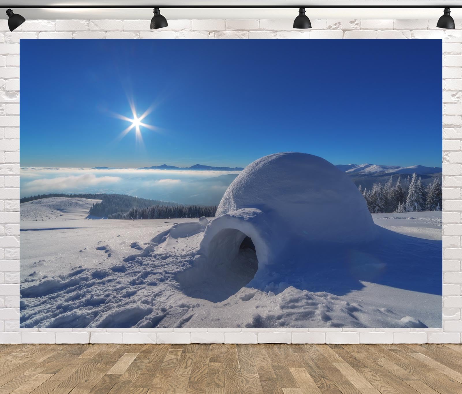 Igloo Snow Houses House Snow Ice Igloo Built Large Stock Photo