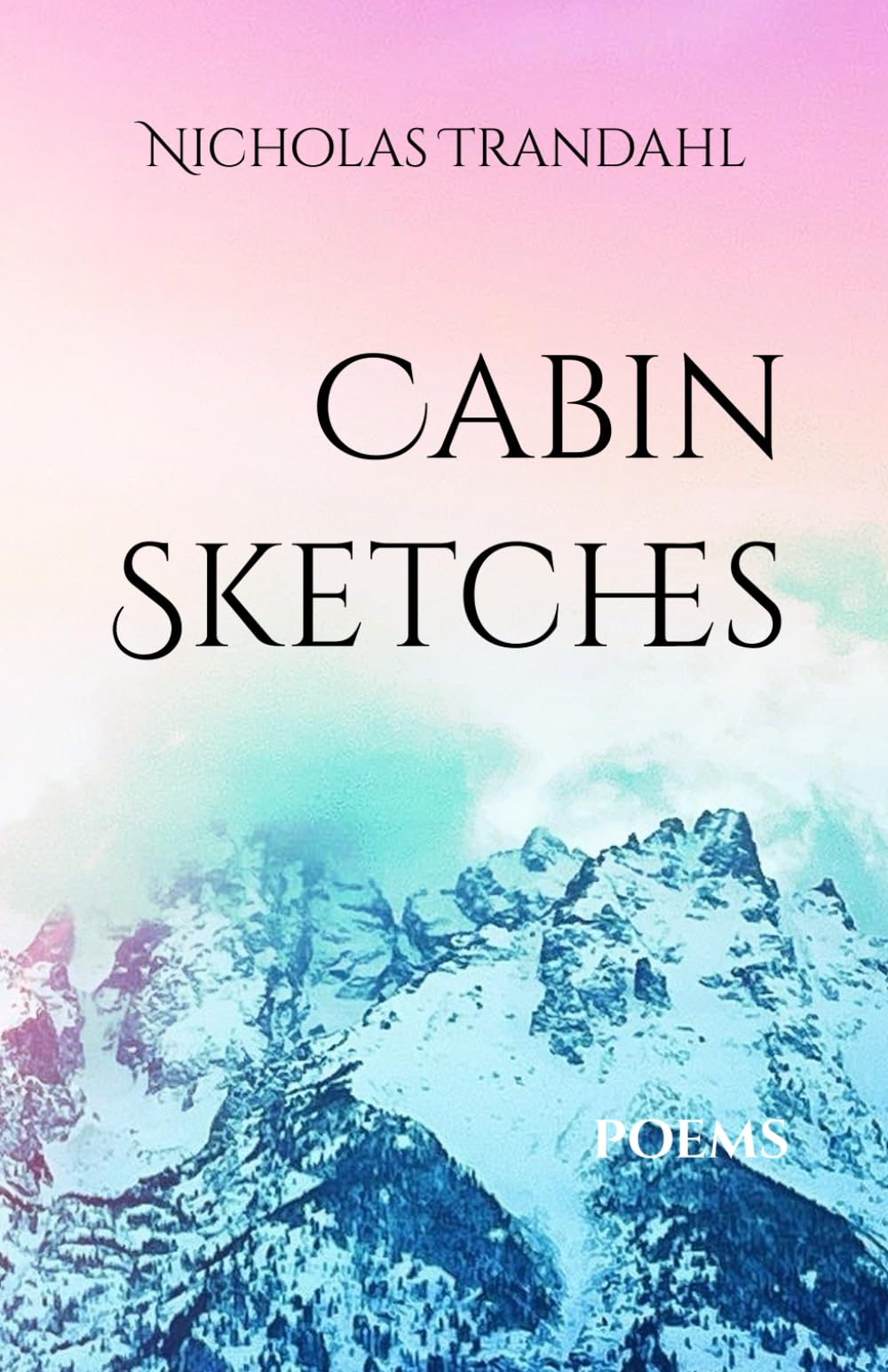 Cabin Sketches: poems: Trandahl, Nicholas: 9798341173507: Amazon.com: Books