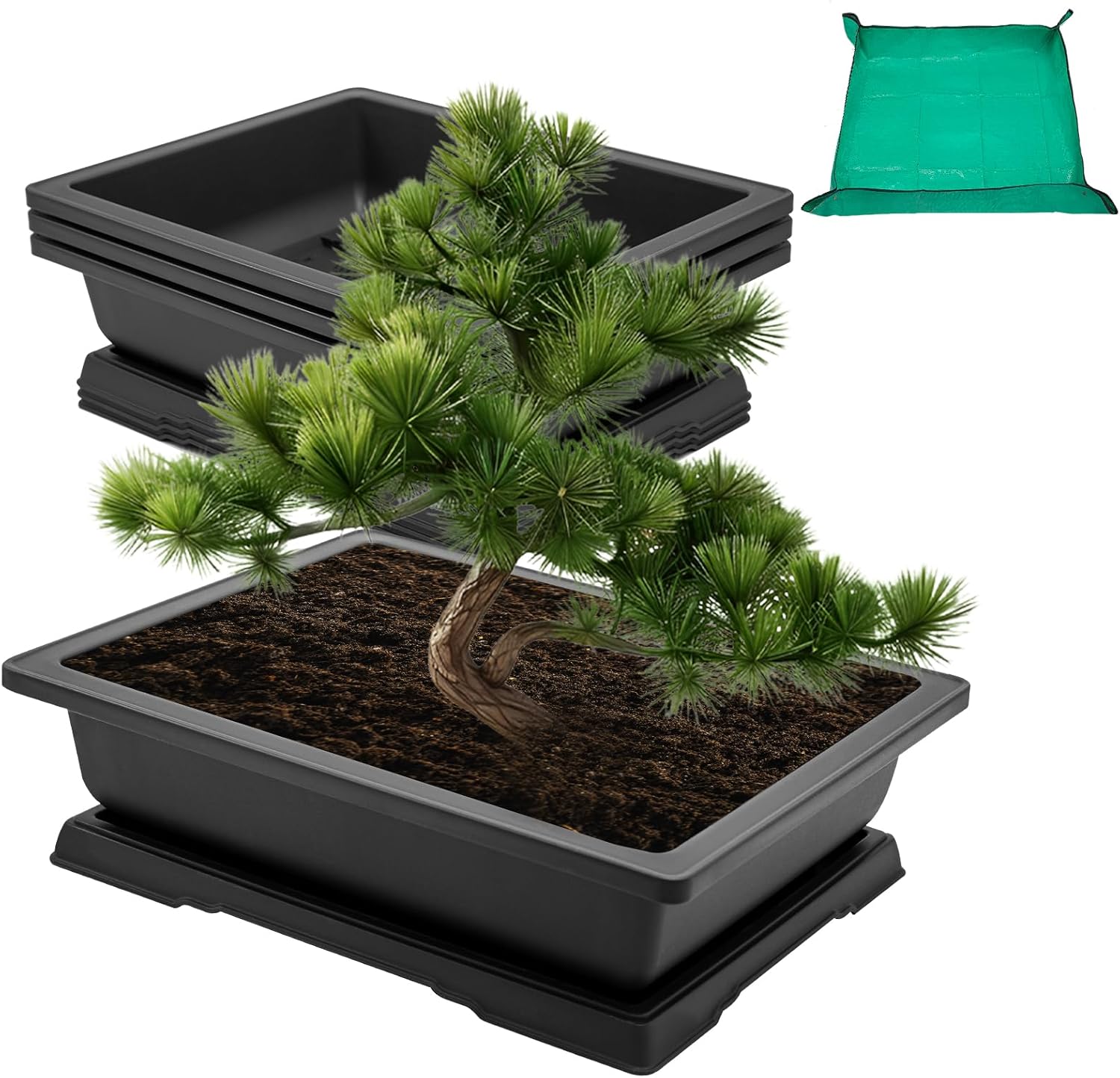 Amazon.com: GROWNEER 3Pcs 18 Inch Bonsai Training Pots Large Bonsai ...