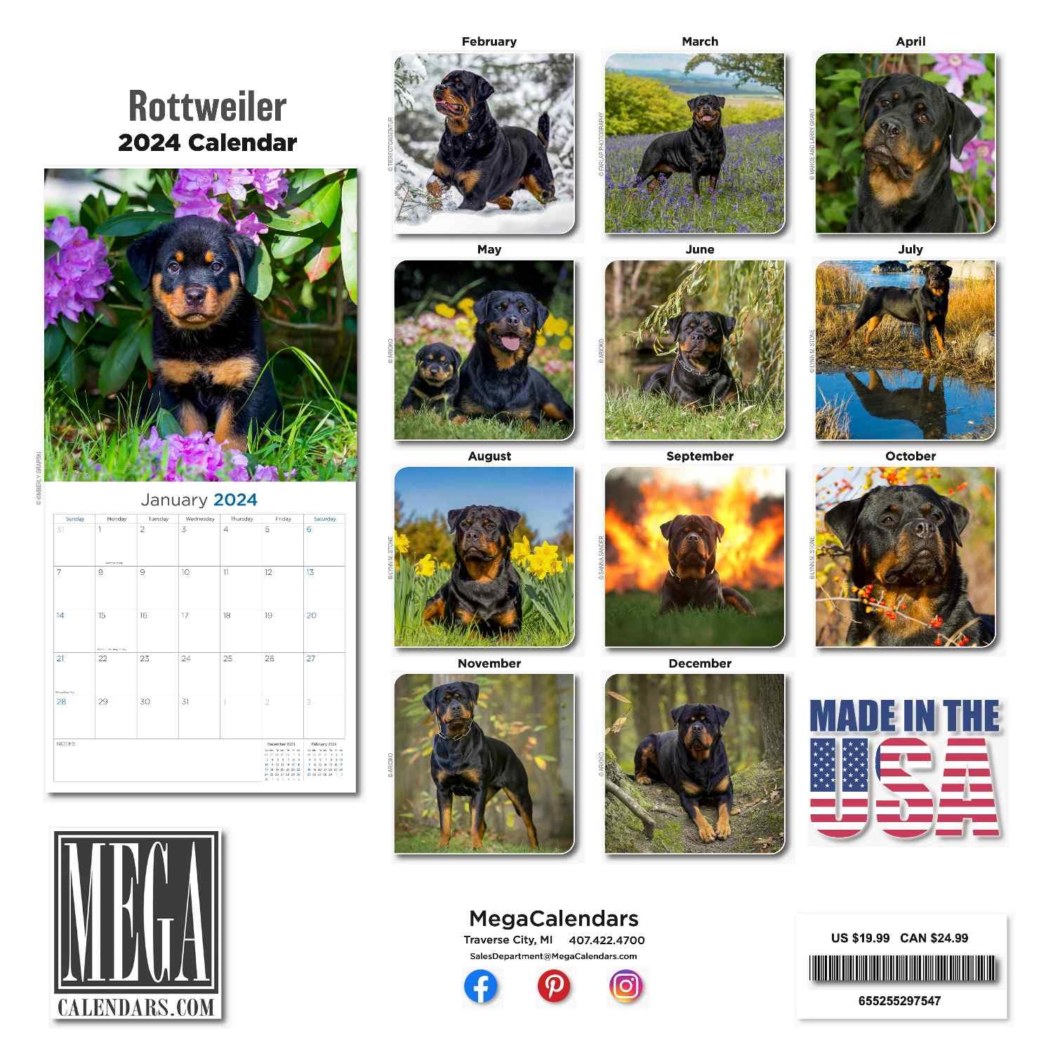 Snapklik.com : Rottweiler Calendar 2024 - Dog Breed Wall Calendar