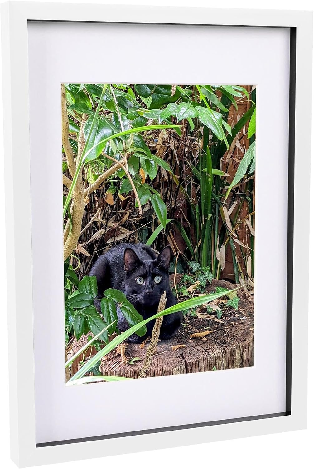 1x White A3 (12" x 17") Acrylic Shadow Box Frame - White A4 Mount ...