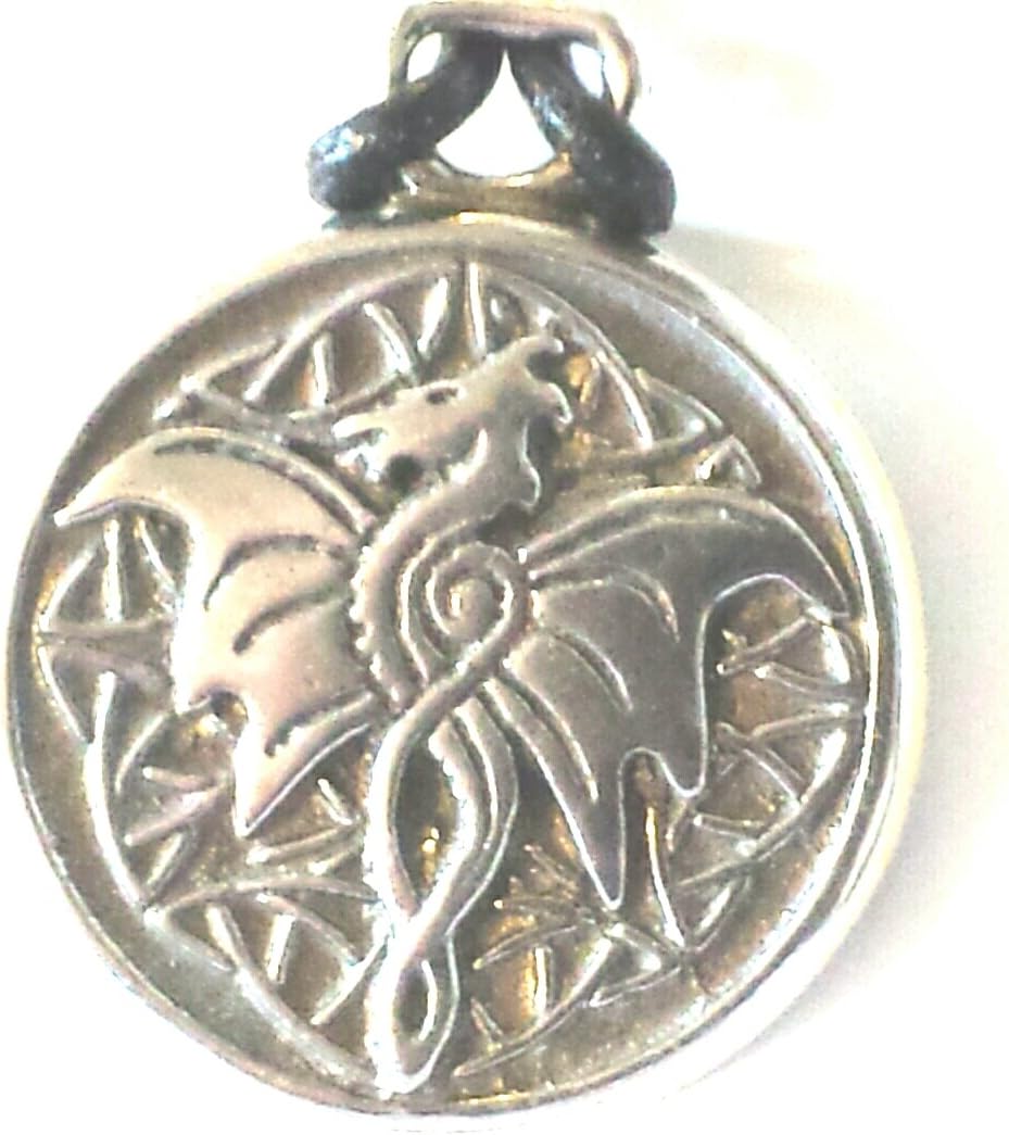 Amazon.com: Pewter Celtic Dragon Pendant/Necklace, PND1014 : Clothing ...