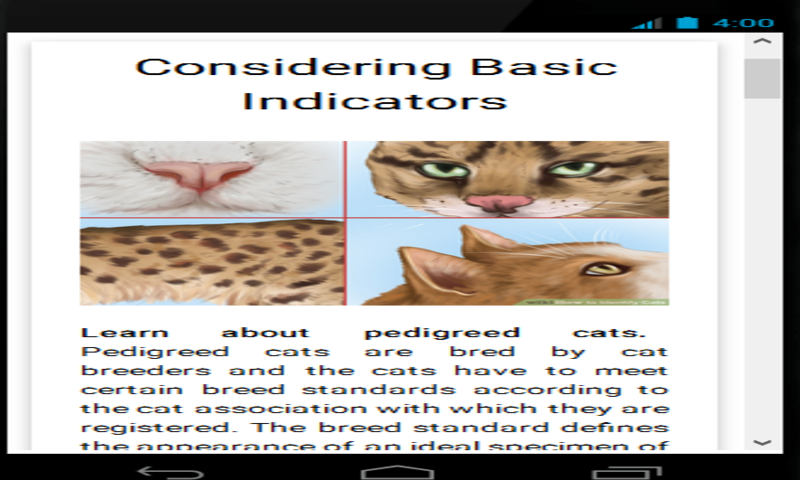How to Identify a Cat - App on Amazon Appstore