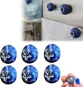 Blueberry Fridge Magnets,Blueberry Ceramic Fridge Magnets,Cute Mini ...