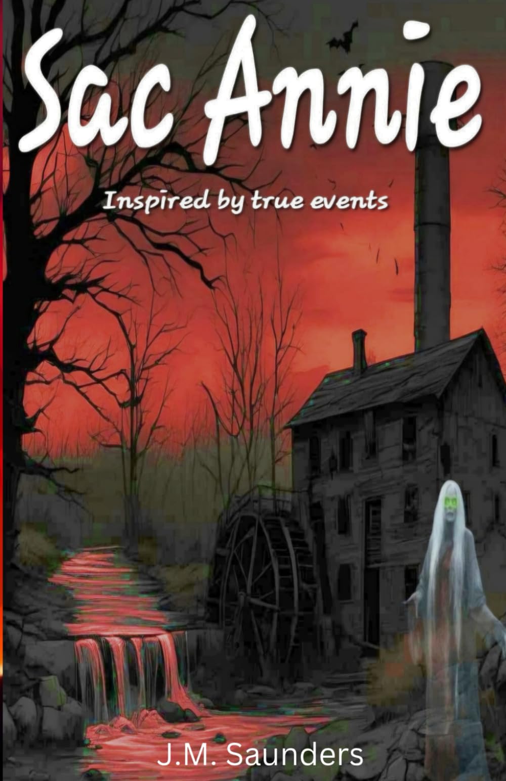 Amazon.com: Sac Annie: 9798302084798: Saunders, J.M.: Books