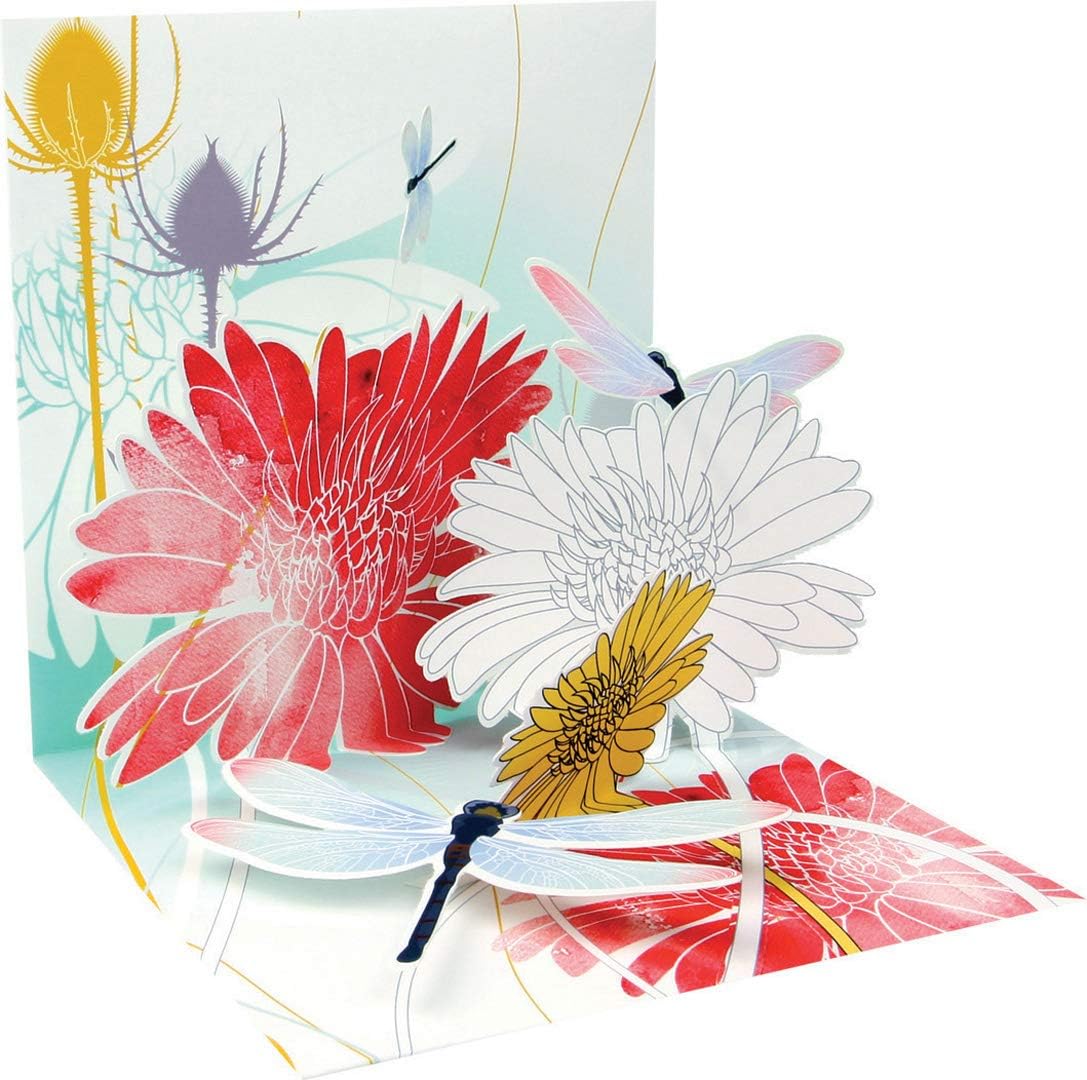 Amazon.com : Up With Paper 3D Greeting Card - Dragonfly Morning - All ...