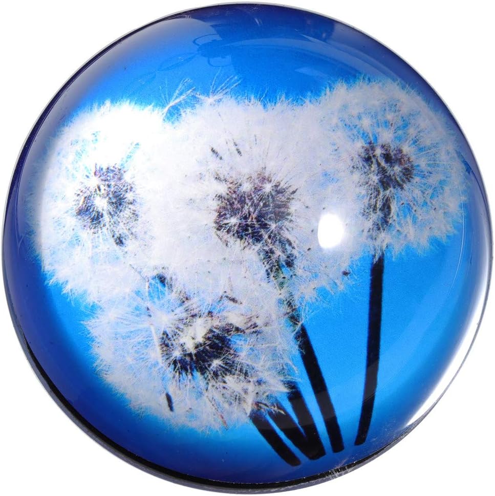 Amazon.com: Waltz&F Crystal Dandelion Paperweight Galss Globe ...