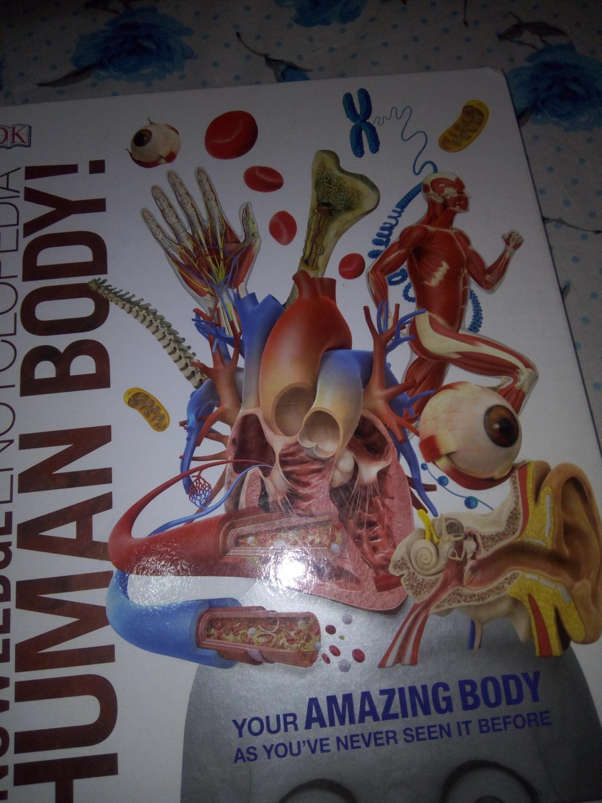 DK Knowledge Encyclopedia: Human Body ! : DK: Amazon.in: Books