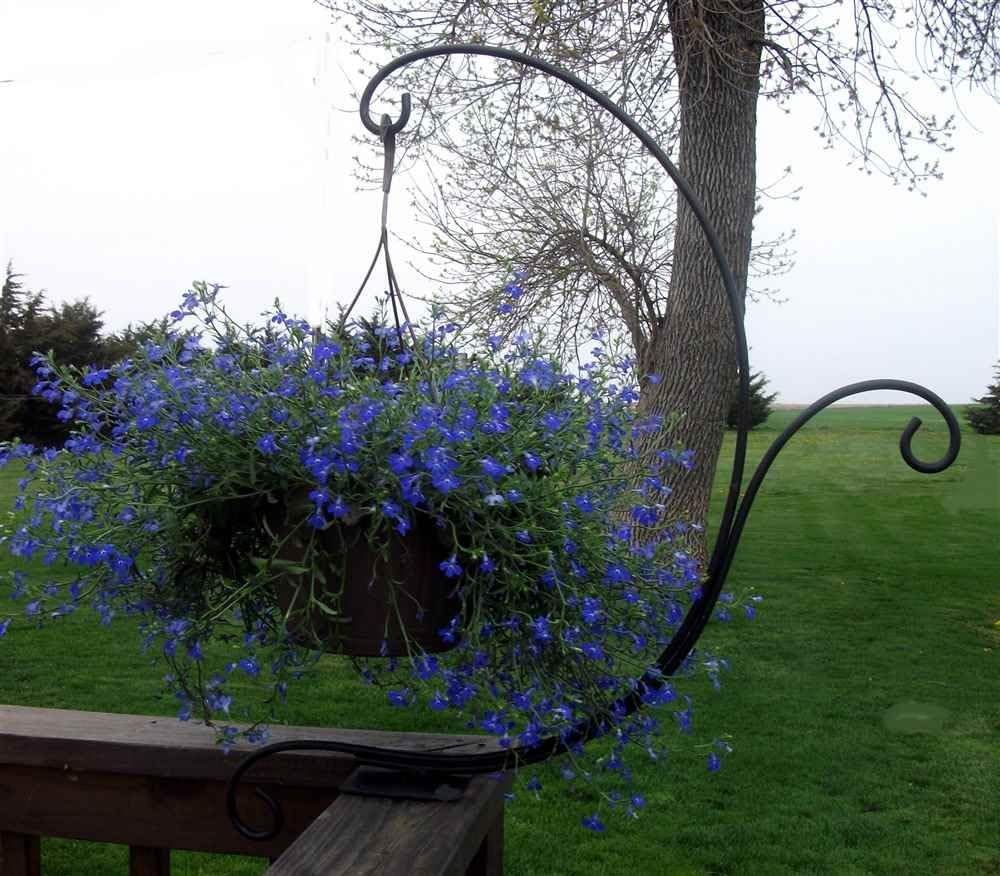 Amazon.com : J&J Wire Plant Hanger for Wood Deck : Kitchen Pot Racks ...