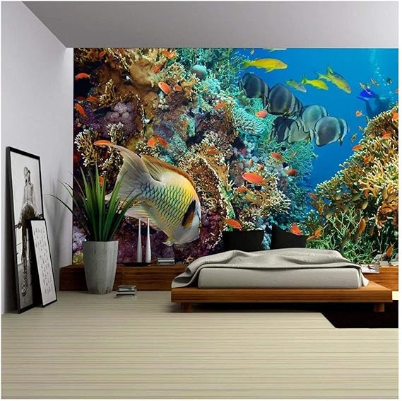 Amazon.com: wall26 - Tropical Anthias Fish with net fire Corals on Red ...