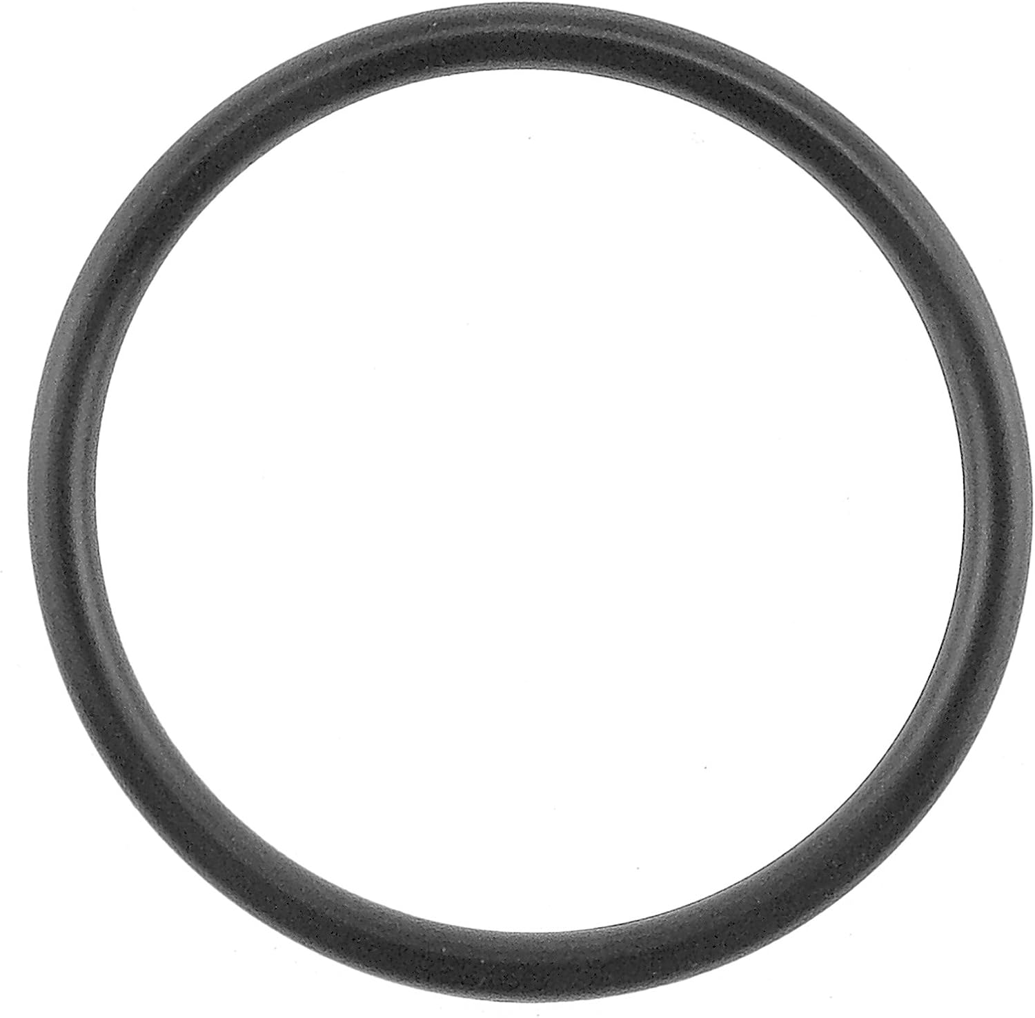 Amazon.com: ACDelco GM Genuine Parts 251-2031 Water Pump O-Ring ...
