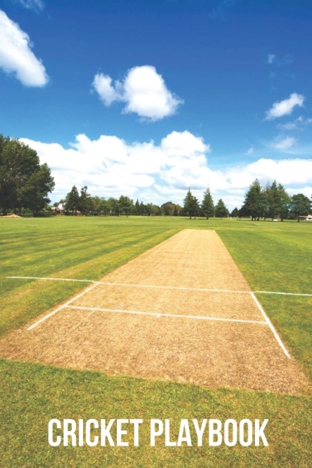 Cricket Training Playbook: Coach Diary, Cricketer, Notebook, Record ...