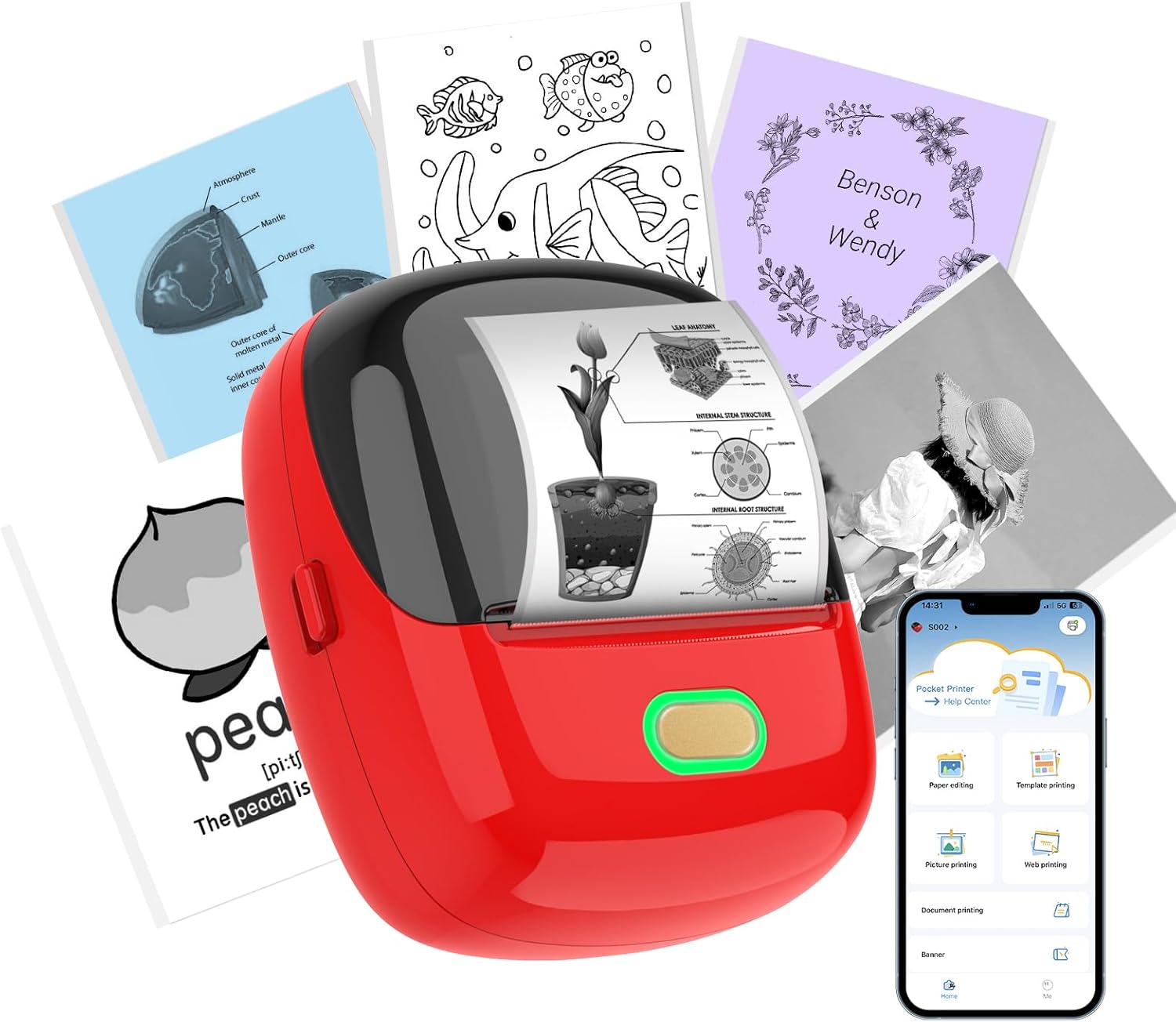 Amazon.com: ORGSTA S002 Sticker Printer - Mini Printer Portable Thermal Sticker Maker, Bluetooth ...