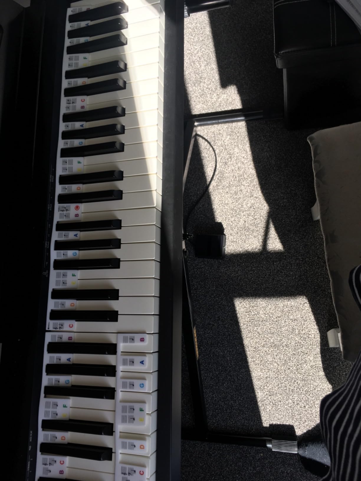 Amazon.com: Removable Piano Keyboard Note Labels, 88 Keys for Beginners ...