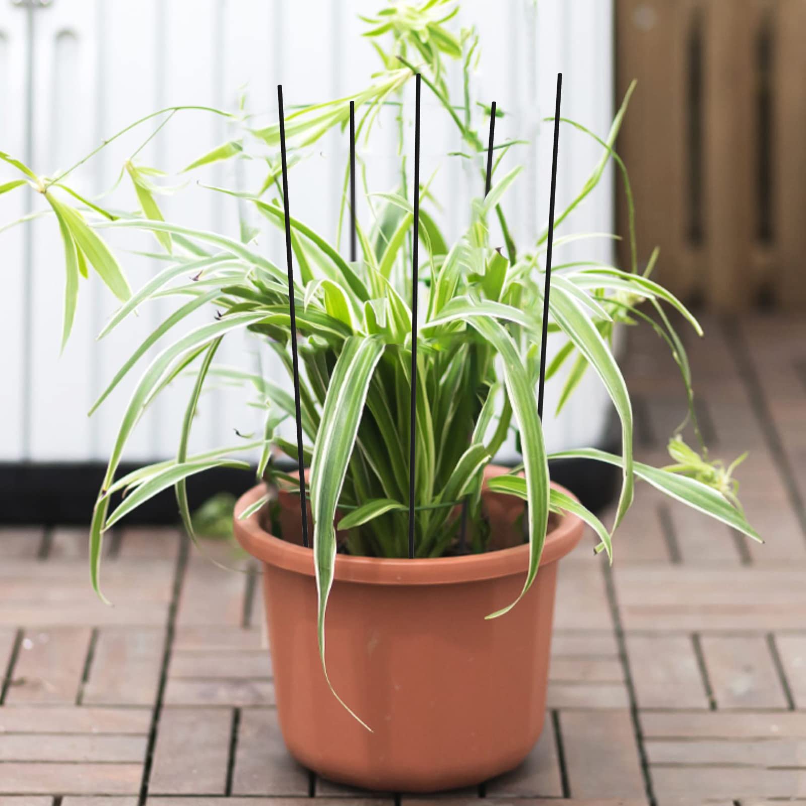 Snapklik.com : Carbon Fiber Rod 2 X 420 MM - 100% Matte Carbon Fiber ...