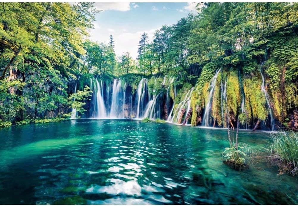 Amazon.com : DASHAN 7x5ft Waterfall Jungle Forest Lake Backdrop Nature ...