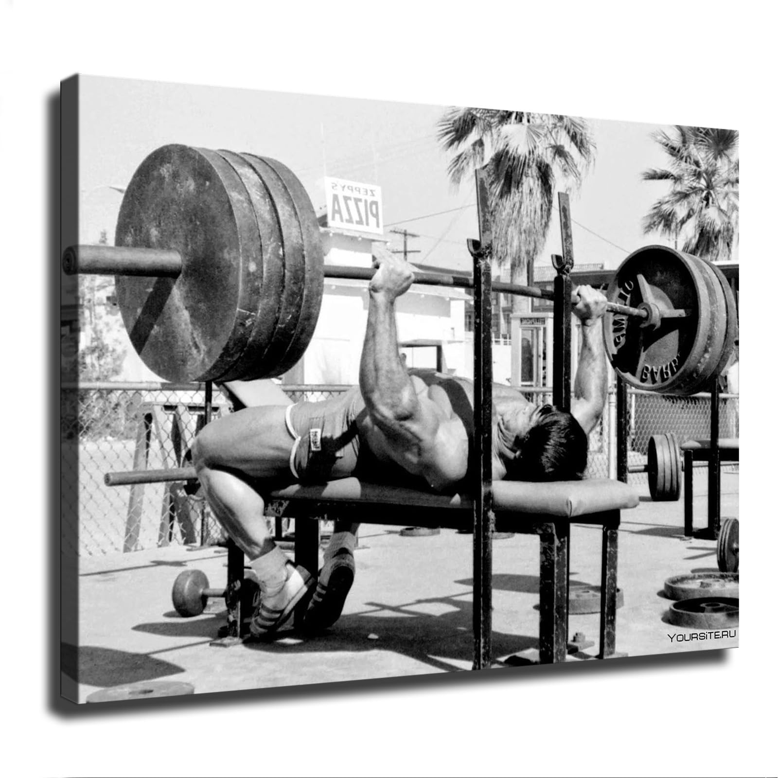 Amazon.com: QqLAdy Bodybuilder Franco Columbu Bench Press Fitness Black ...