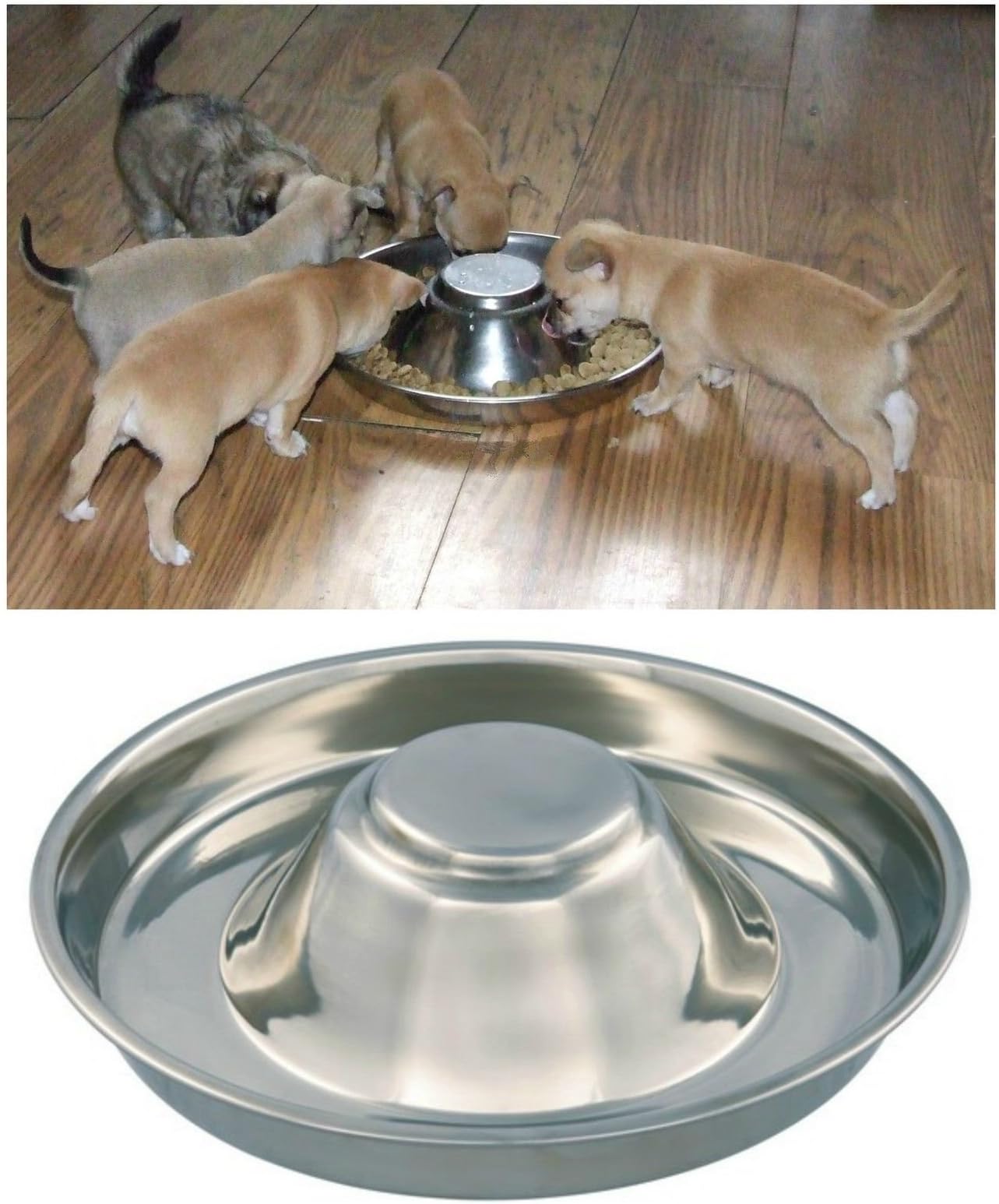 Kabalo Stainless Steel Puppy, Cat, Dog, Pet, Litter Food Feeding ...