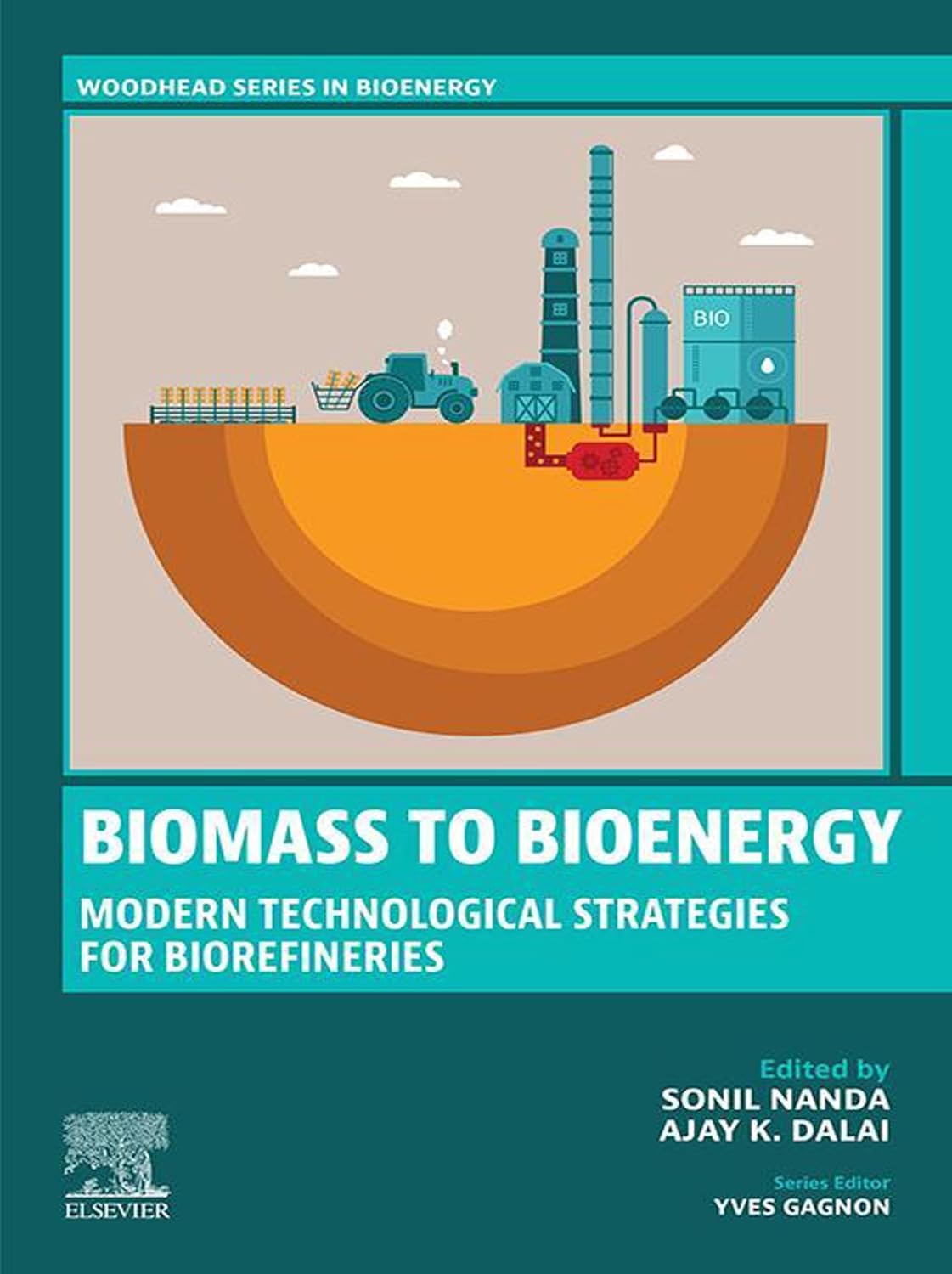 Biomass to Bioenergy: Modern Technological Strategies for Biorefineries ...