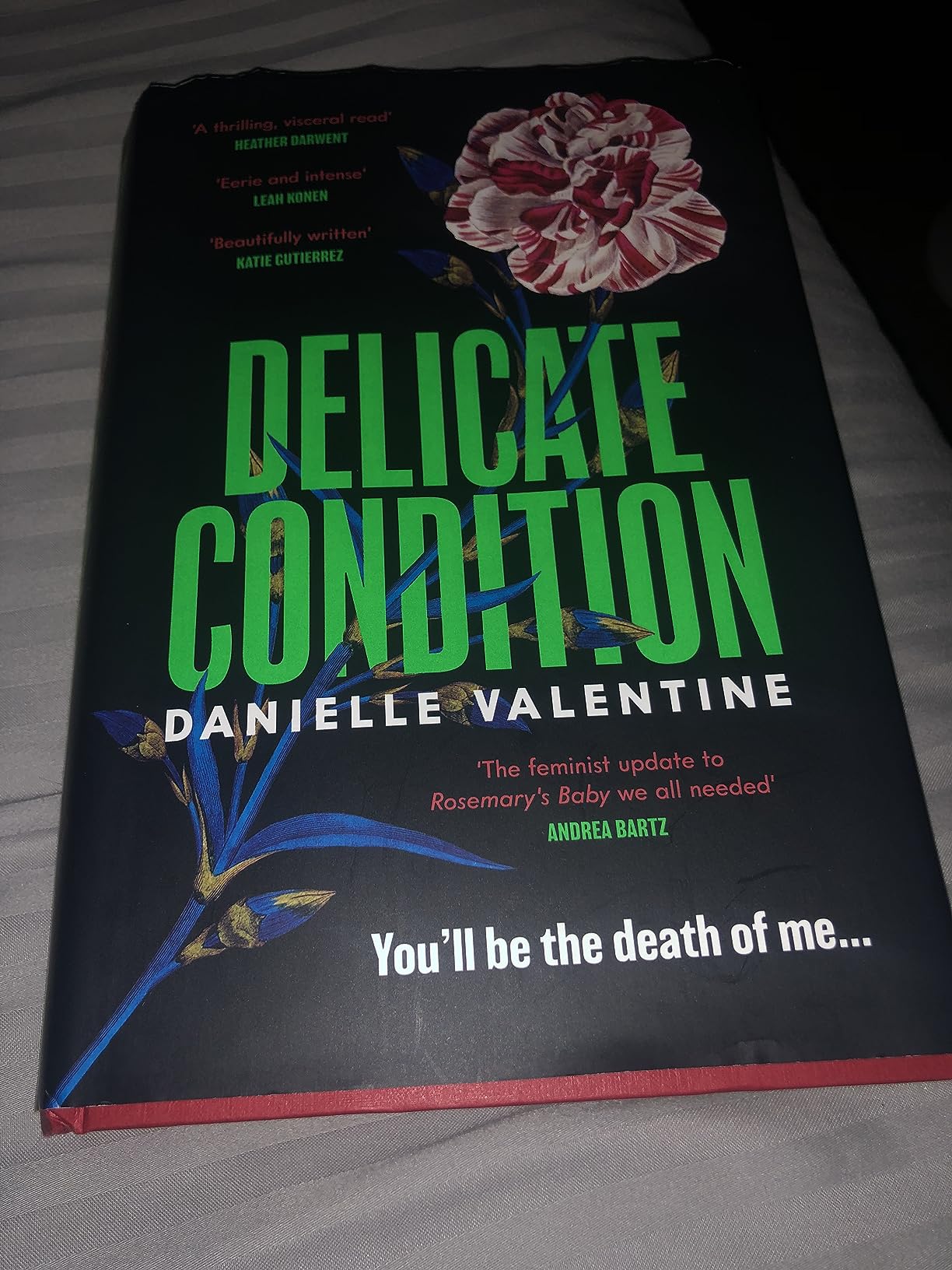 Delicate Condition (Audio Download): Danielle Valentine, Katherine ...