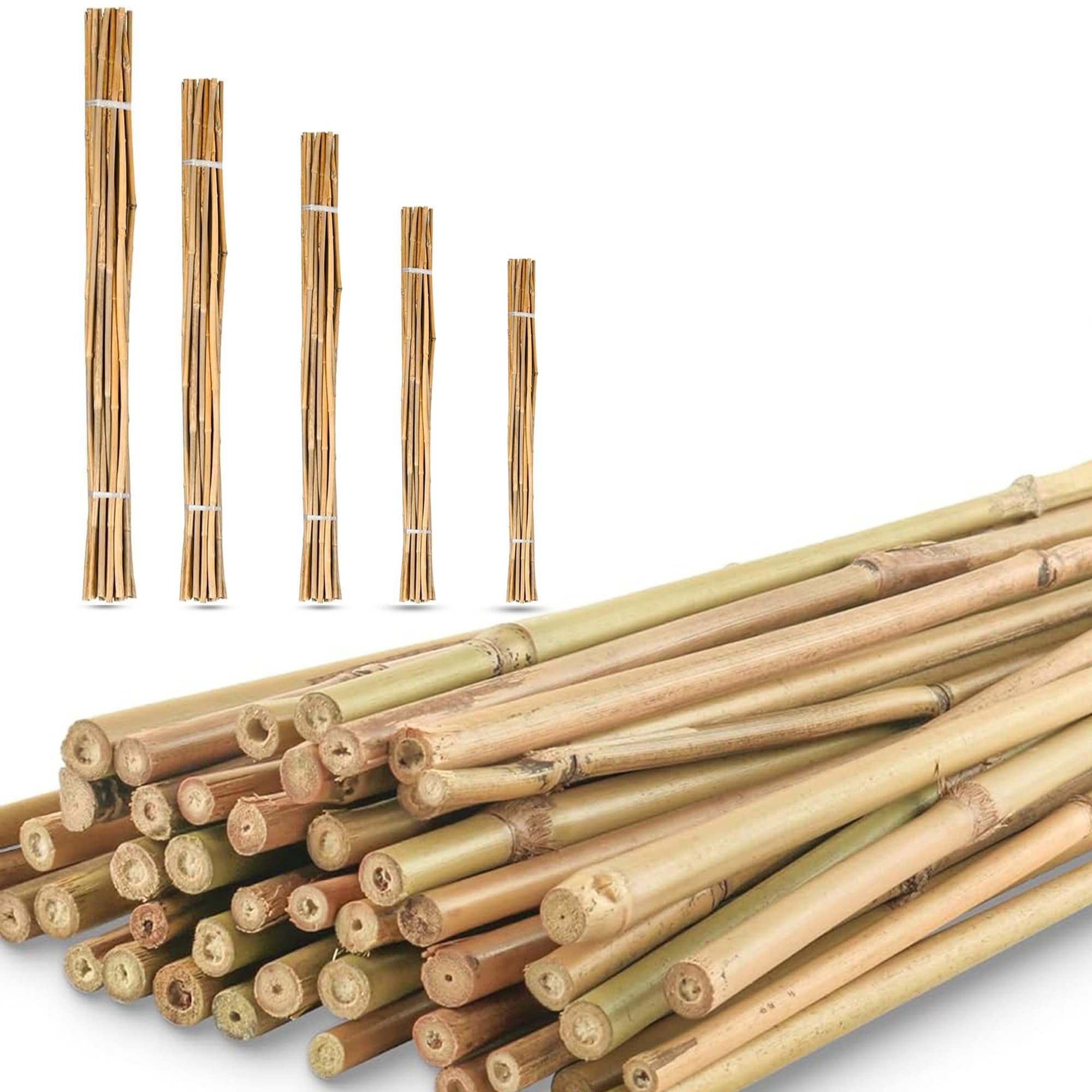 Nifty 2FT/3FT/4FT/5FT/6FT Heavy Duty Bamboo Canes – Professional Plant ...