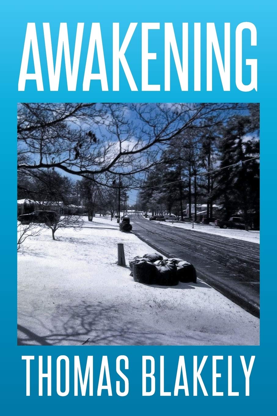 Awakening: Blakely, Thomas: 9781499068085: Amazon.com: Books