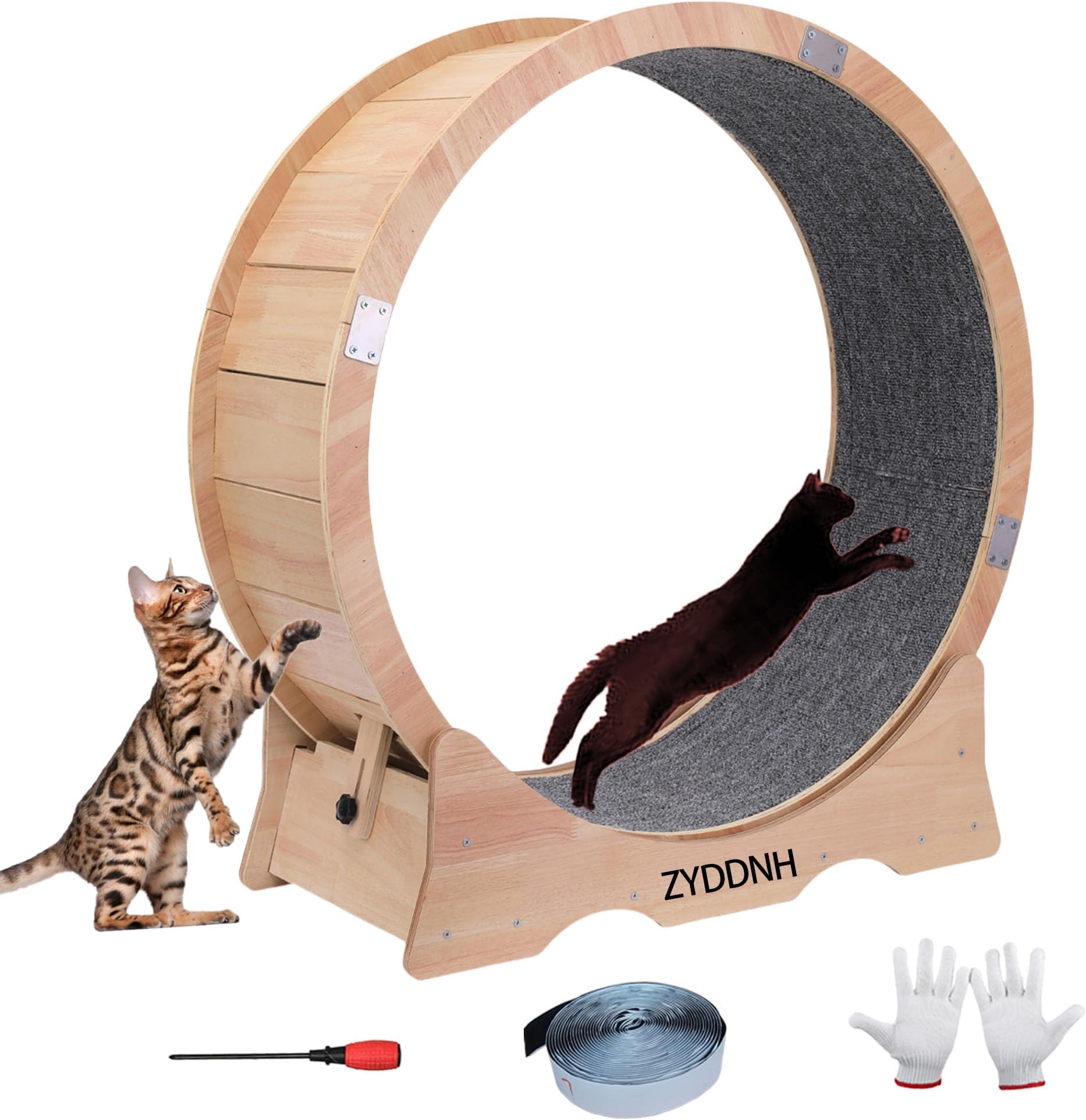 Amazon.com : LCTTLLY Cat Exercise Wheel – Running, Spinning, and ...