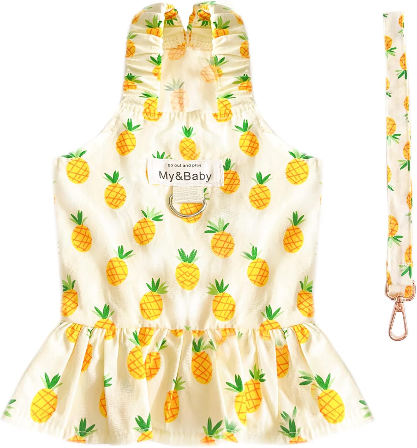 Amazon.com : PETPUBGNZS Small Dog Dress Harness and Leash Set Cute ...