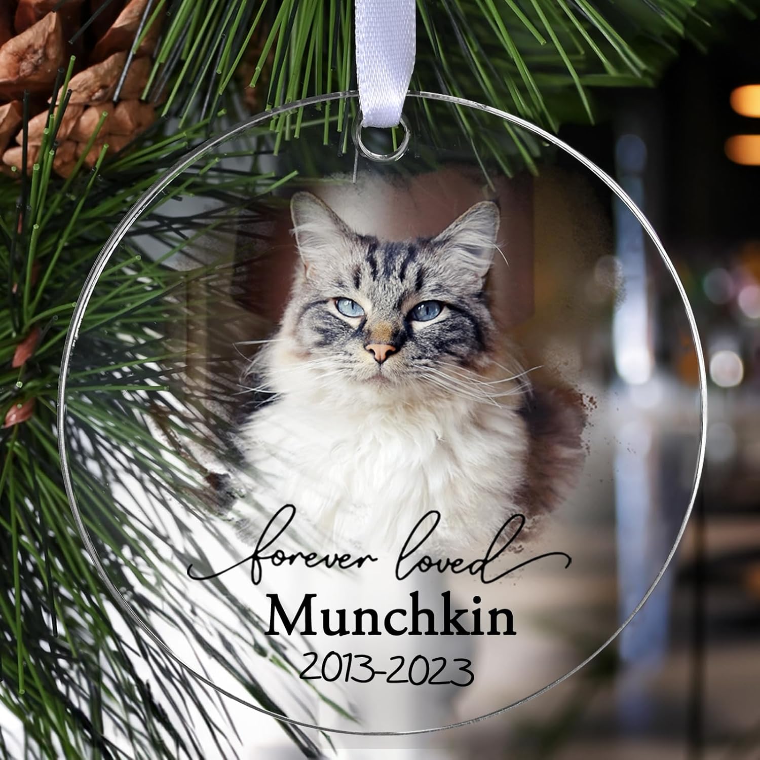 Amazon.com: Personalized Cat Memorial Ornament, Touber Christmas ...