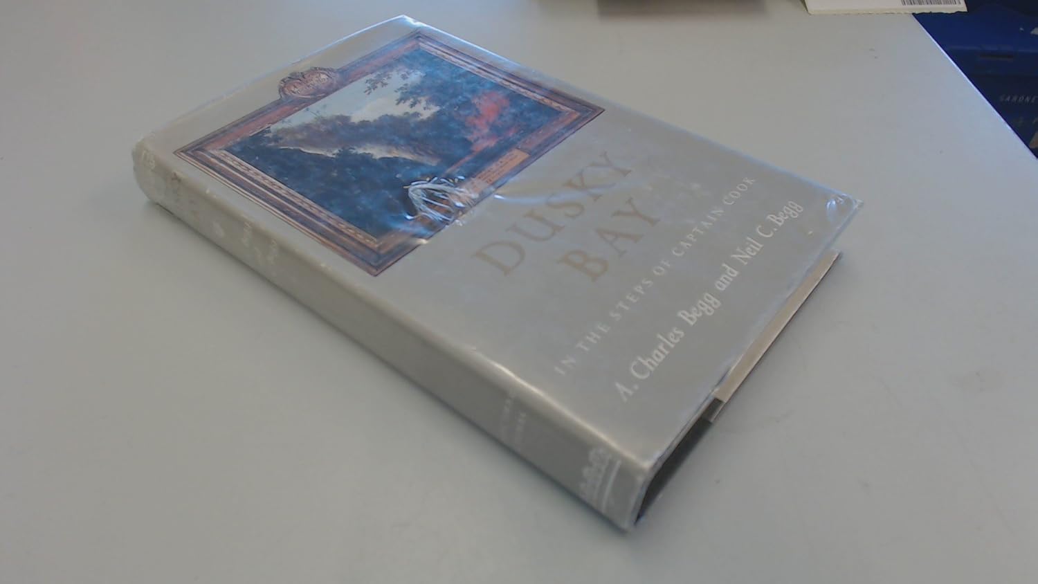 Dusky Bay: Begg, A. Charles: 9780723300120: Amazon.com: Books