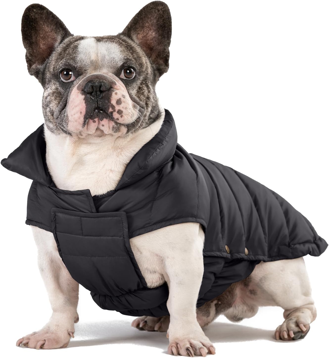 Amazon.com : SPACE LION Dog Puffer Jacket, Down Dog Winter Coat ...