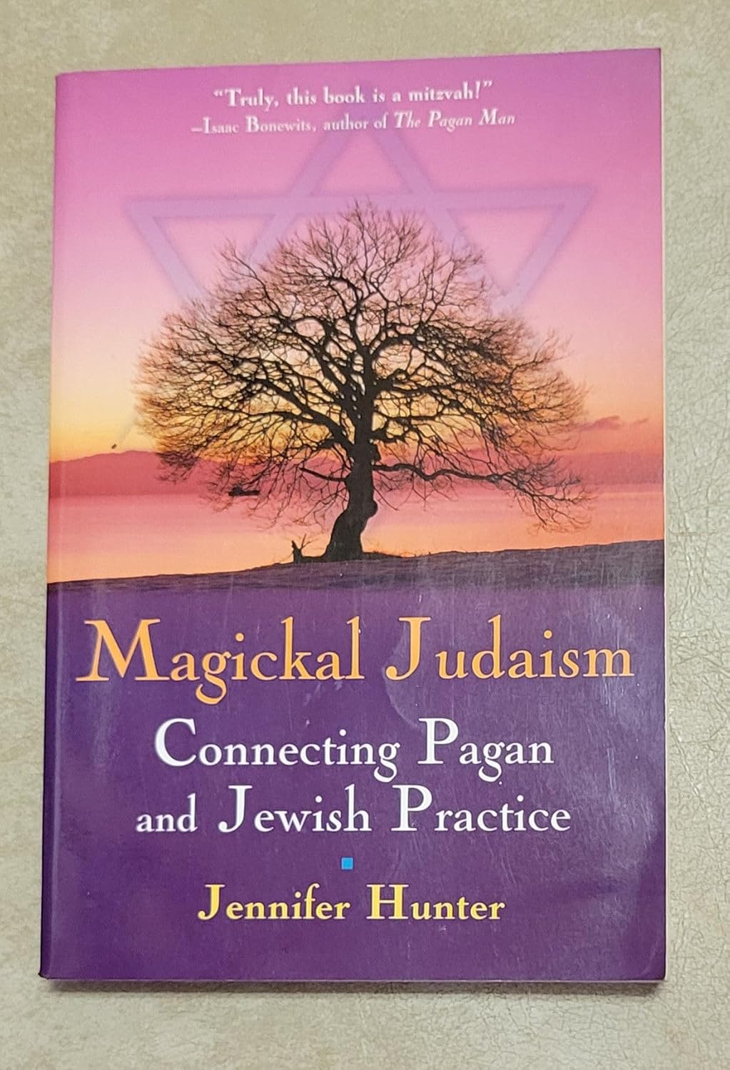 Magickal Judaism: Connecting Pagan & Jewish Practice: Hunter, Jennifer ...