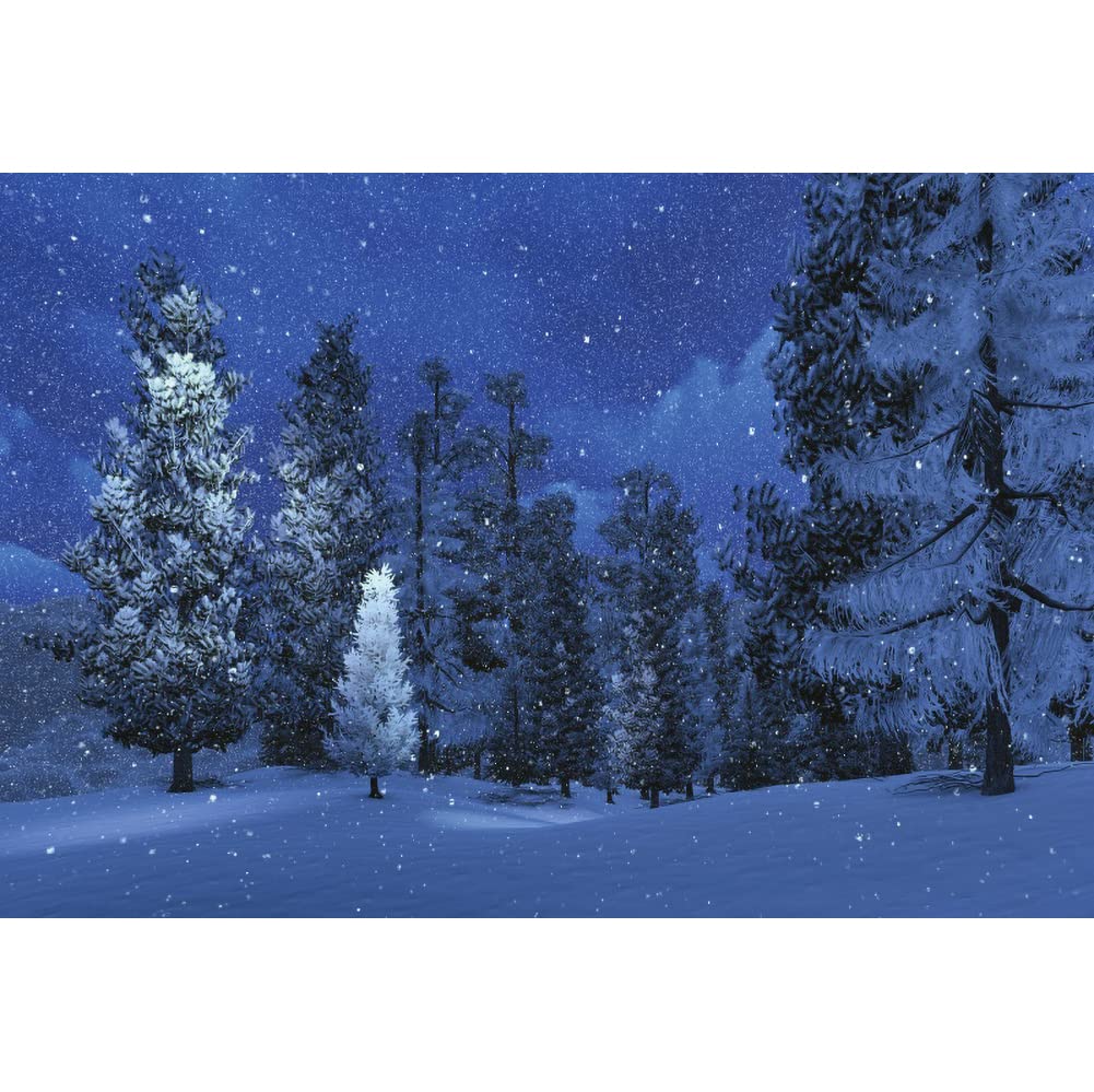 Snowy Trees At Night