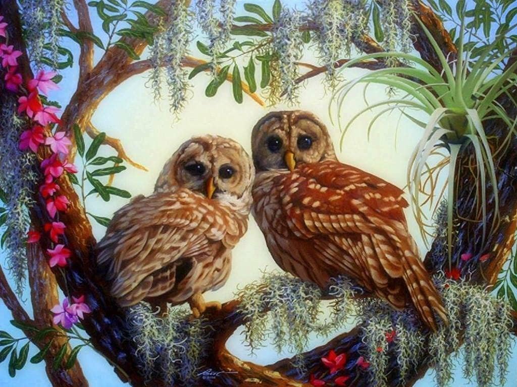 Amazon.com: Filter Kit Jigsaw Puzzle 1000 Piece Animal Jigsaw Two Owls ...