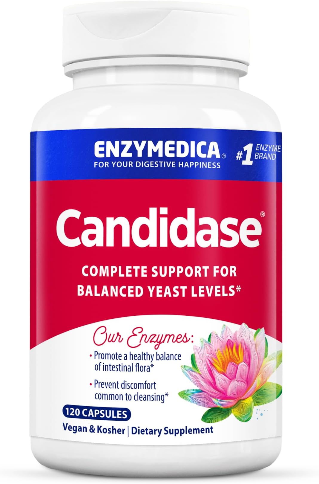 Amazon.com: Enzymedica Candidase, 42 Count : Health & Household