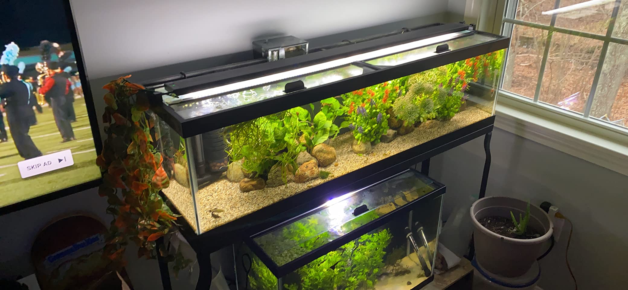 $38/mo - Finance Fluval Plant 3.0 LED Planted Aquarium Lighting, 59 ...