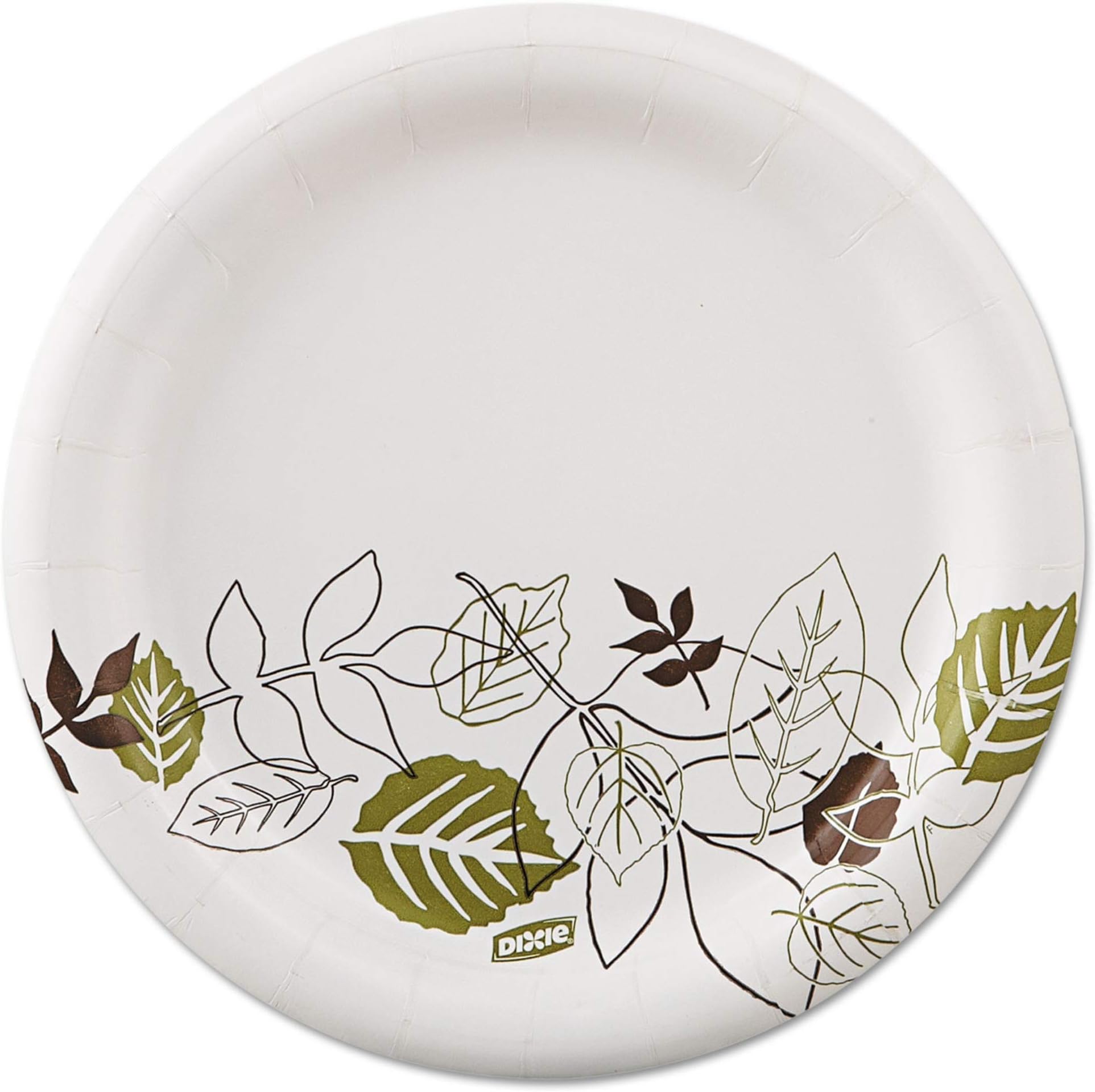 Amazon.com: Dixie Paper Plates, 6-7/8", Pathways Design, Pack of 125 ...