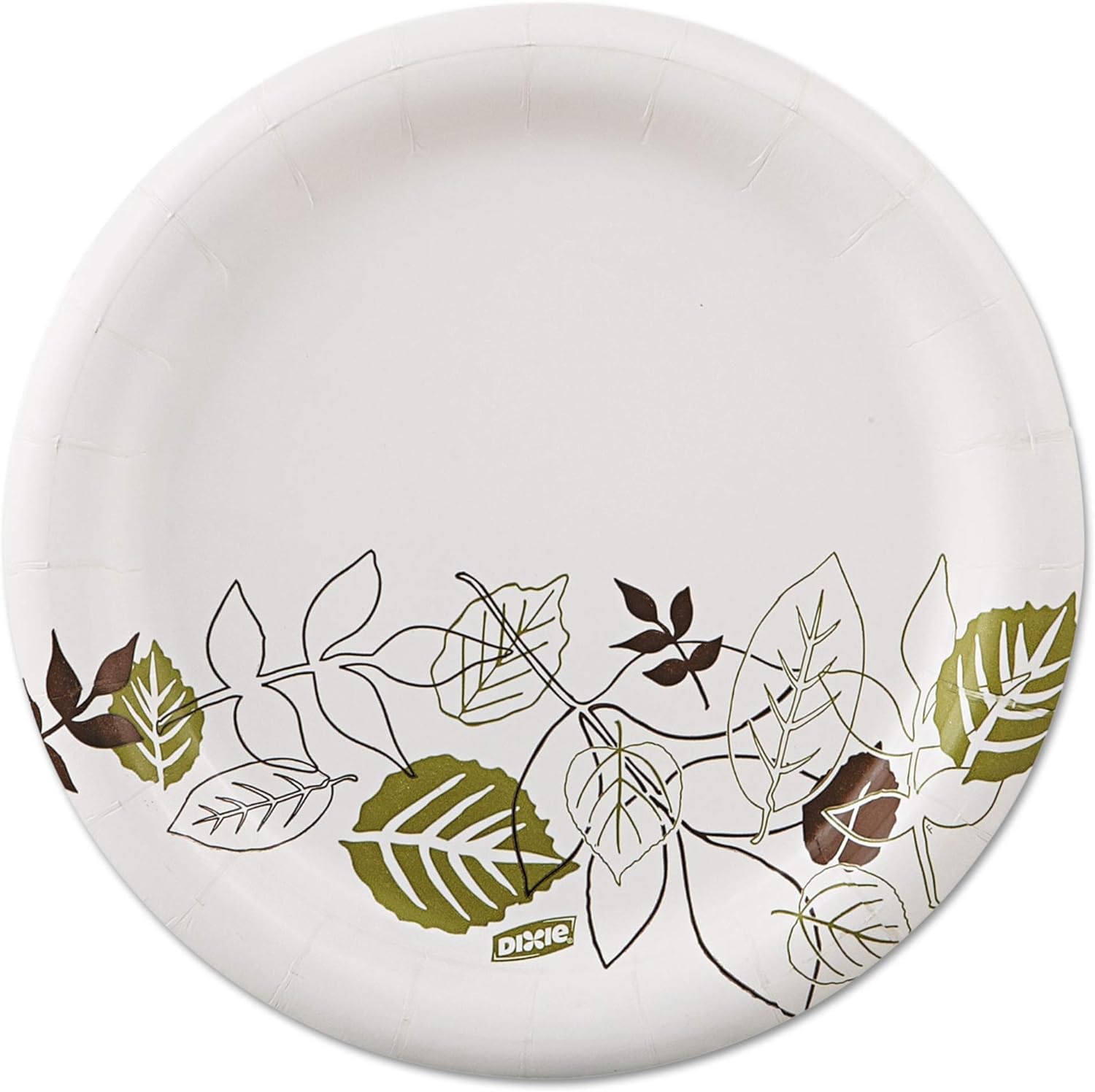 Amazon.com: Dixie Paper Plates, 6-7/8", Pathways Design, Pack of 125 ...