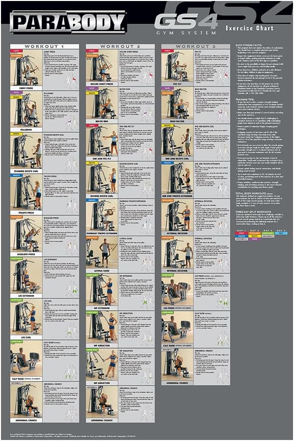 Amazon.com: Parabody GS4 Gym System Exercise Chart Art Poster Oil ...