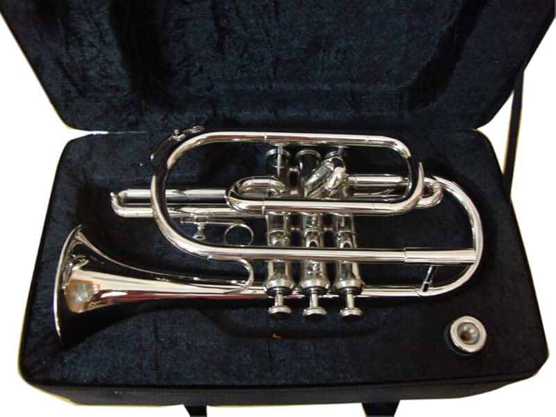 Amazon.com: Cornets - Cornets / Brass Instruments: Musical Instruments