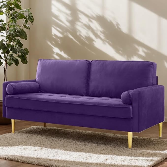 Amazon.com: HRVEOCEI 65 Inch Purple Velvet Couch, Small Loveseat Sofa ...