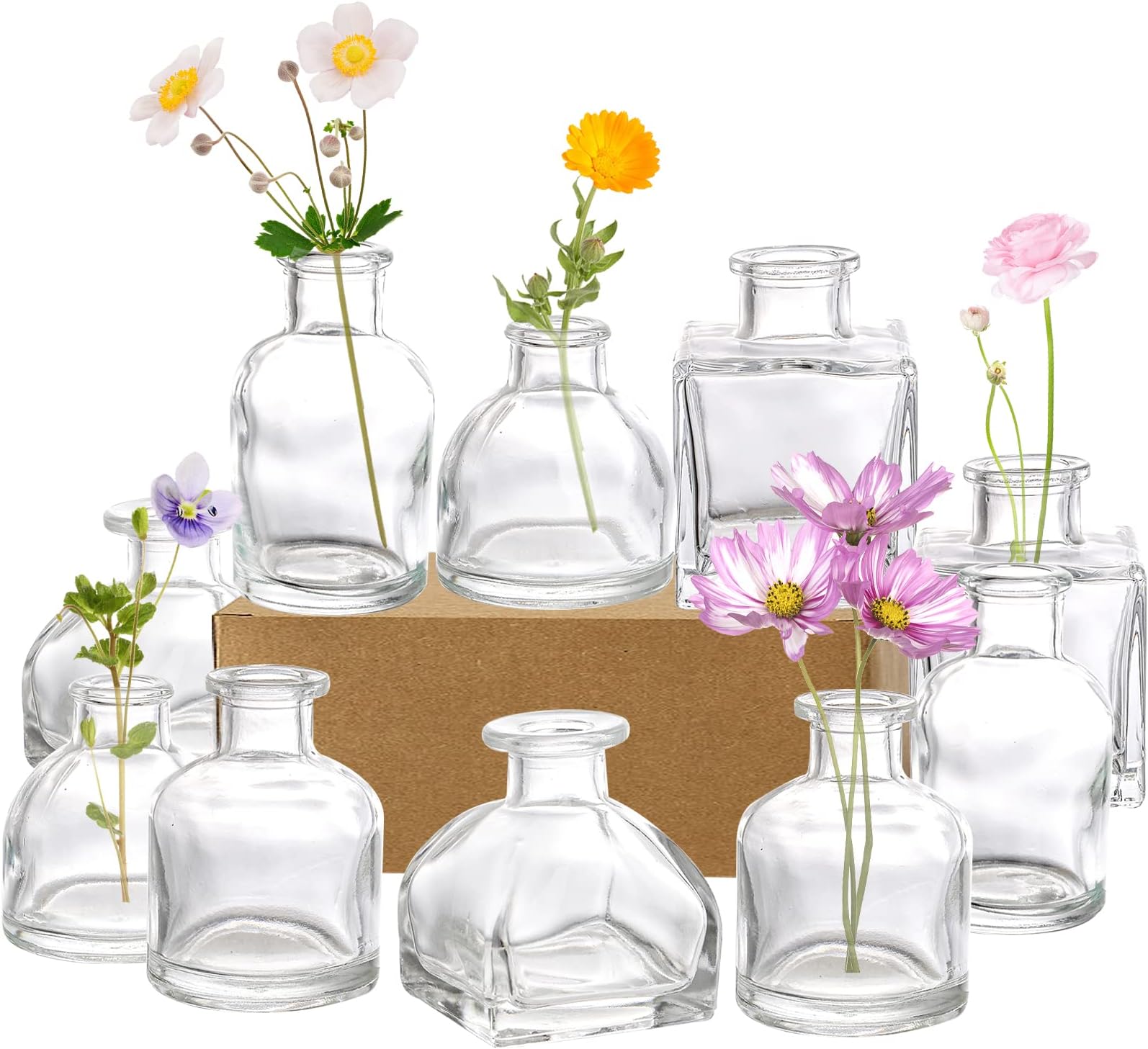 Hedume Set of 10 Small Glass Flower Vases, Clear Glass Bud Vases ...