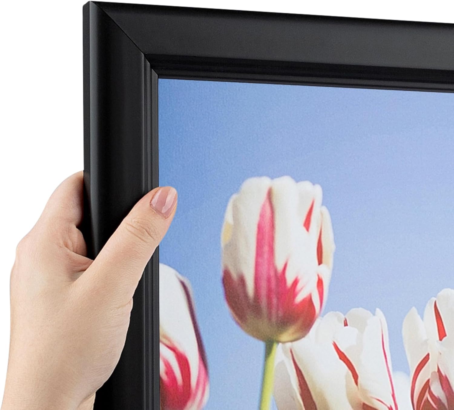 Amazon.com - ArtToFrames 40x60 CM / 15.75x23.62 INCH Black Picture ...