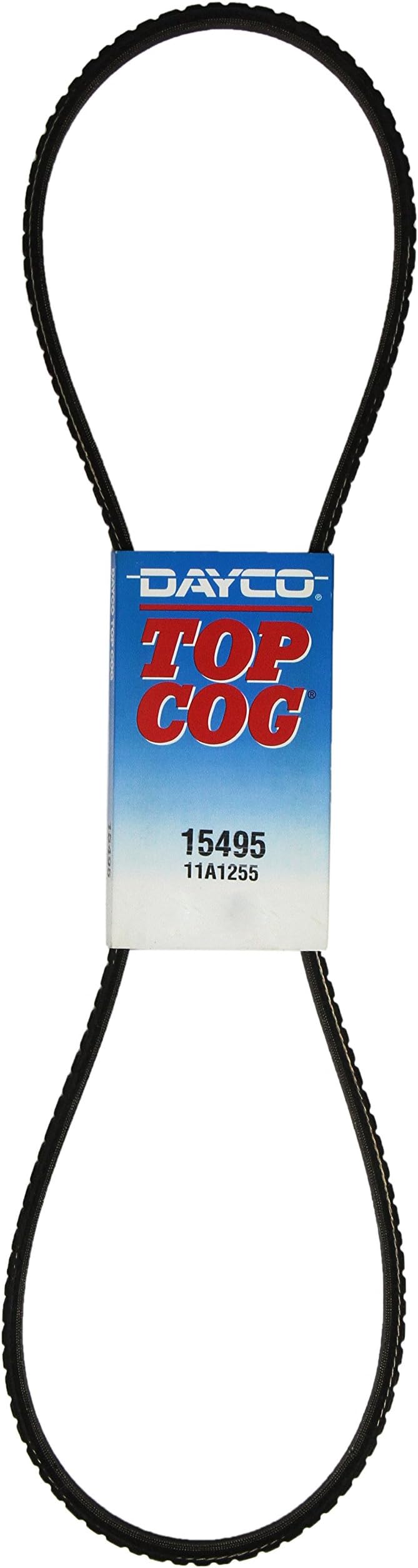 Amazon.com: Dayco 15495 Fan Belt : Automotive