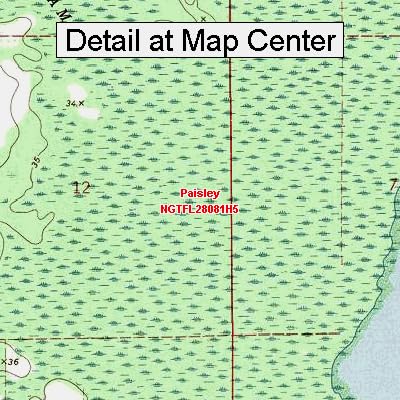 Amazon.com : USGS Topographic Quadrangle Map - Paisley, Florida (Folded ...
