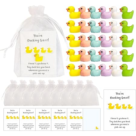 Amazon.com : AWEELON 90Pcs Inspirational Gift You're Ducking Great ...